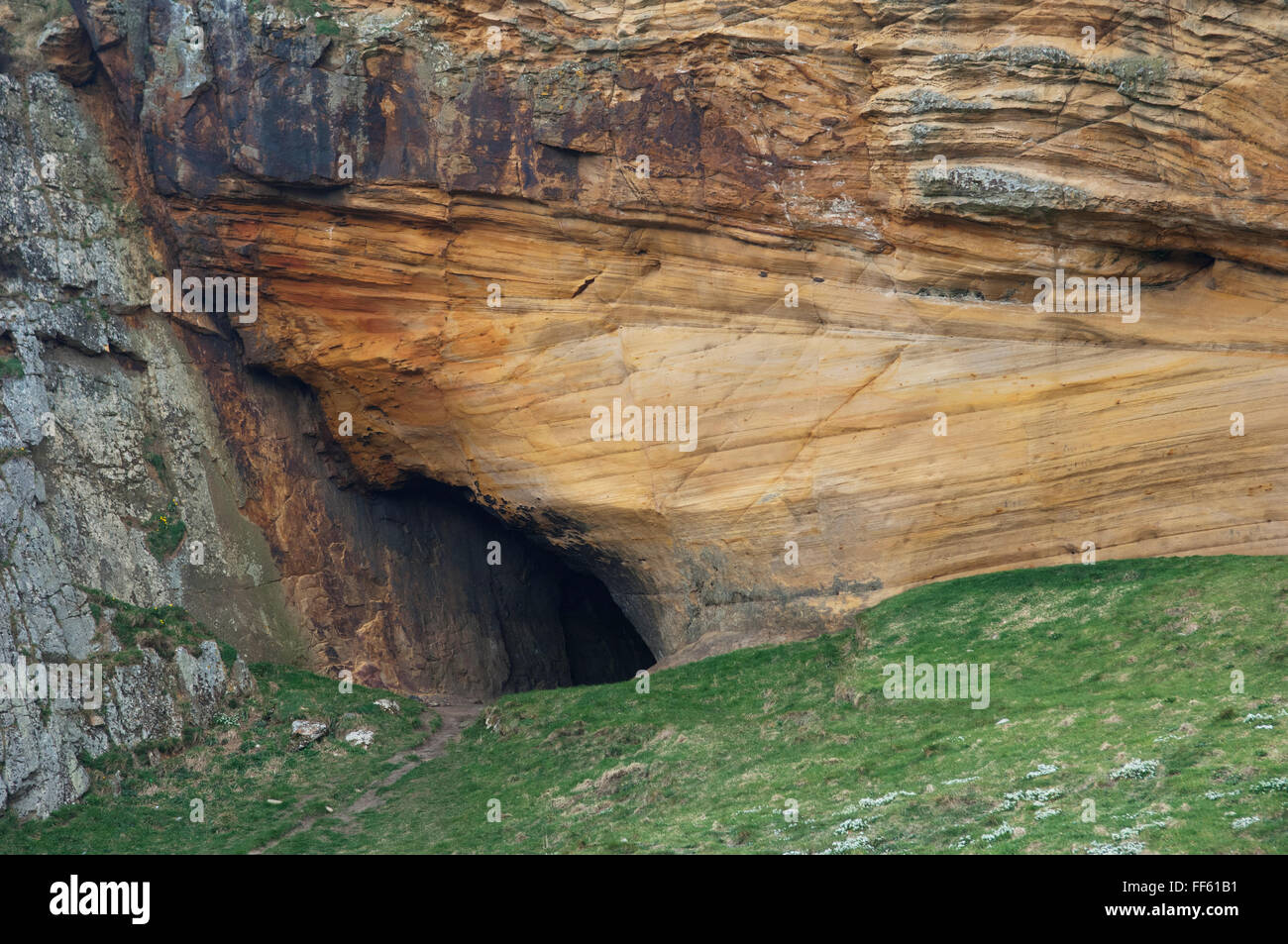 Cave near hopeman moray scotland hi-res stock photography and images ...