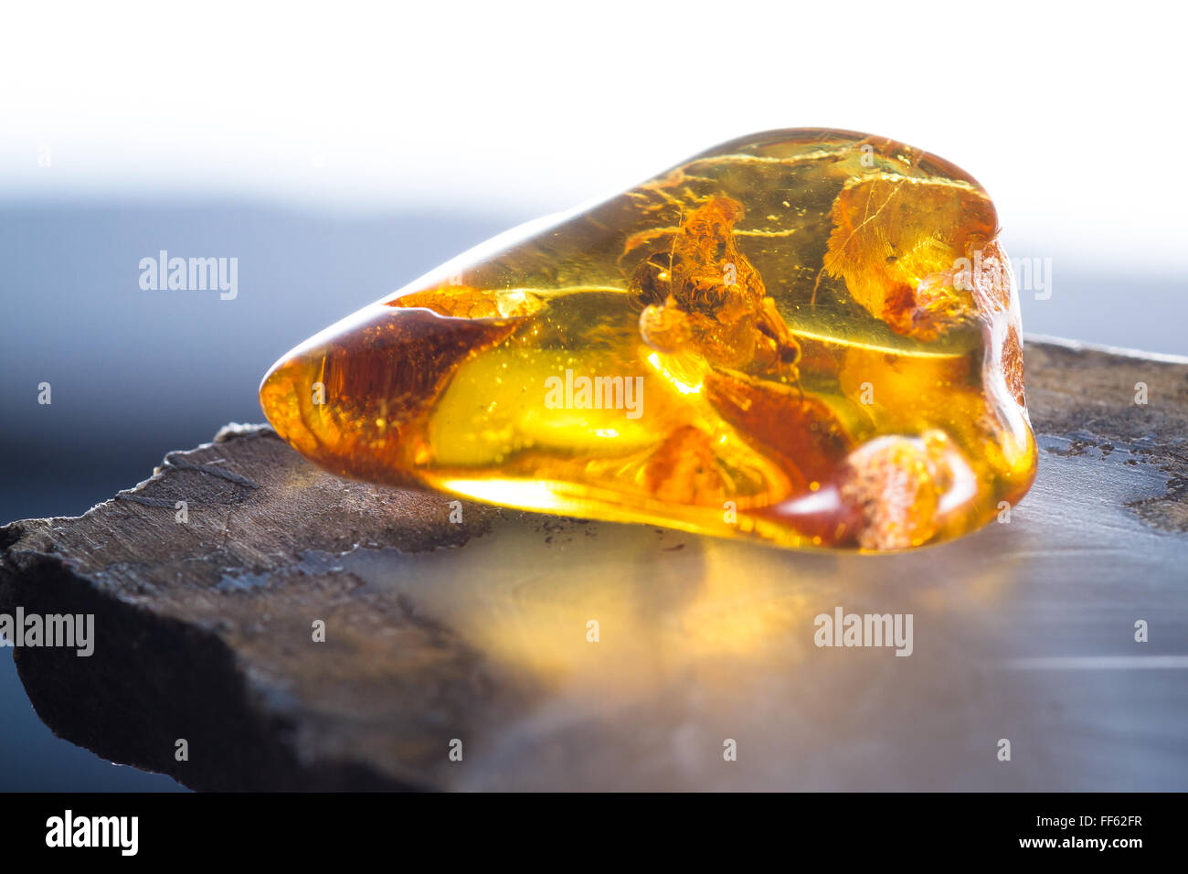 close up of a piece of amber preserving a piece of history inside Stock ...