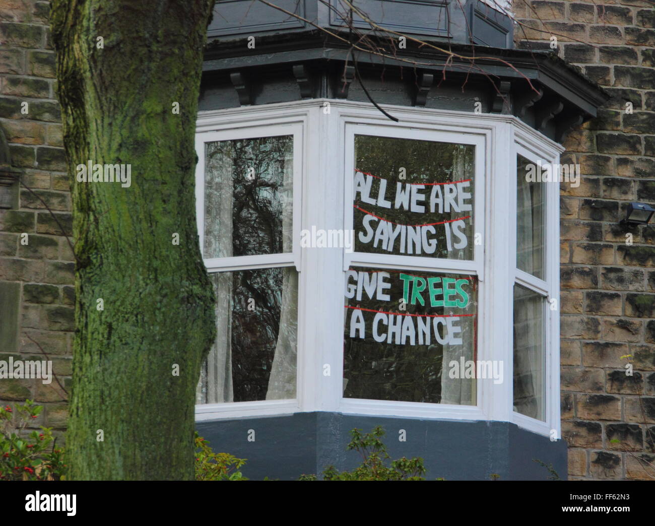 A protest sign in the window of a house in Rustlings Road, Sheffield ...