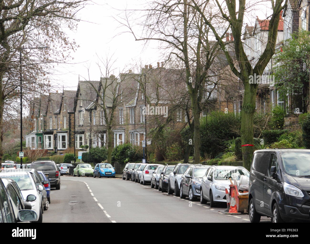 Sheffield forest hi-res stock photography and images - Alamy