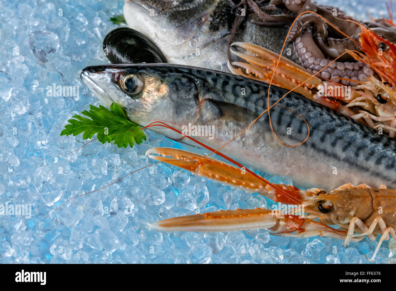 Seafood placed on ice drift Stock Photo - Alamy