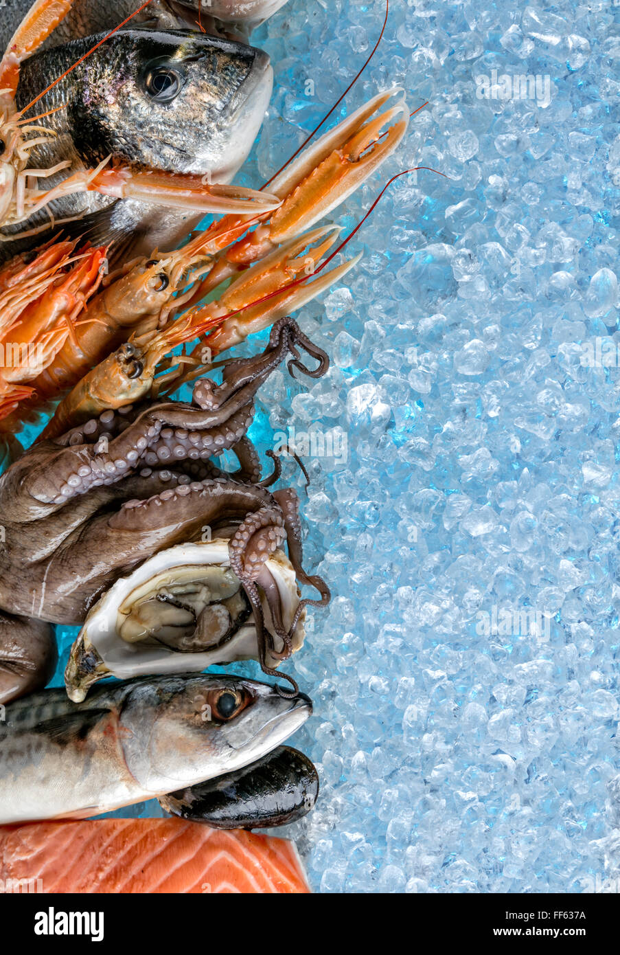 Seafood placed on ice drift Stock Photo - Alamy