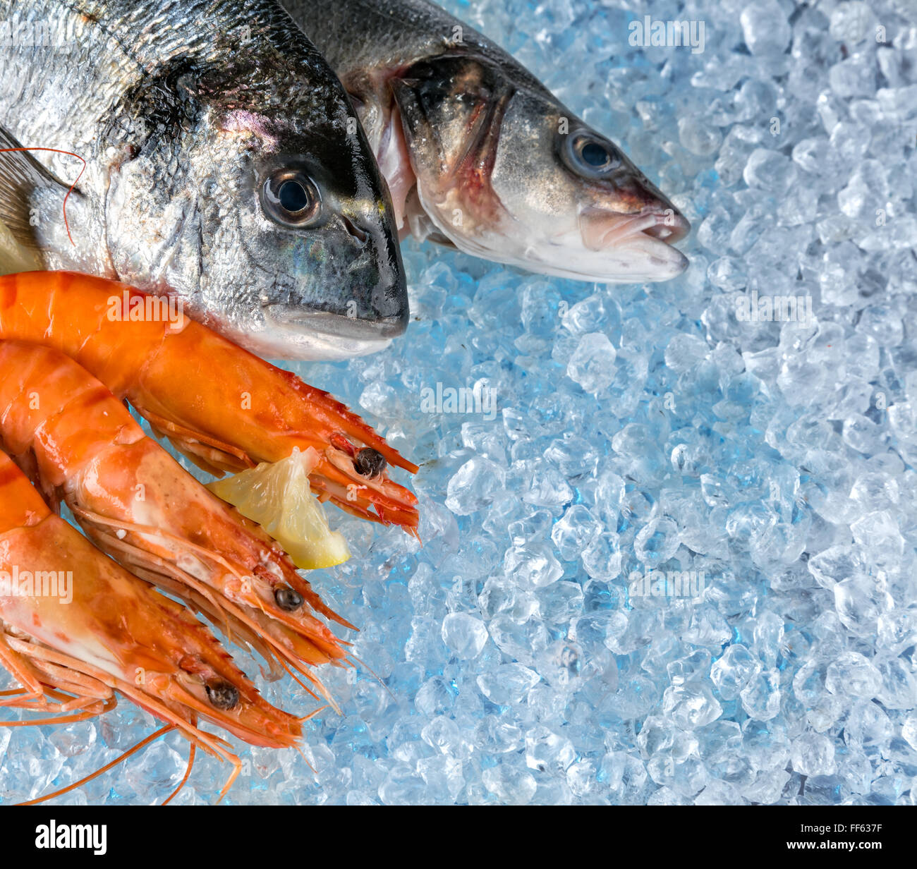 Seafood placed on ice drift Stock Photo - Alamy