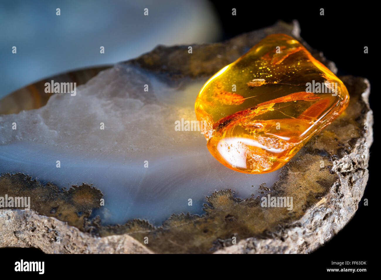 close up of a piece of amber preserving a piece of history inside Stock ...