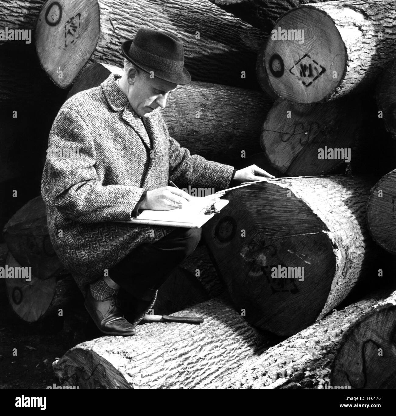 Measuring logs Black and White Stock Photos & Images - Alamy