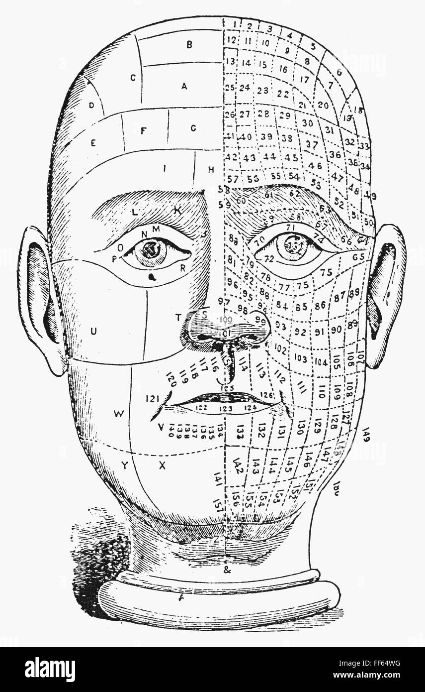 PHRENOLOGY, 19th CENTURY. /nA phrenological chart of the 19th century ...