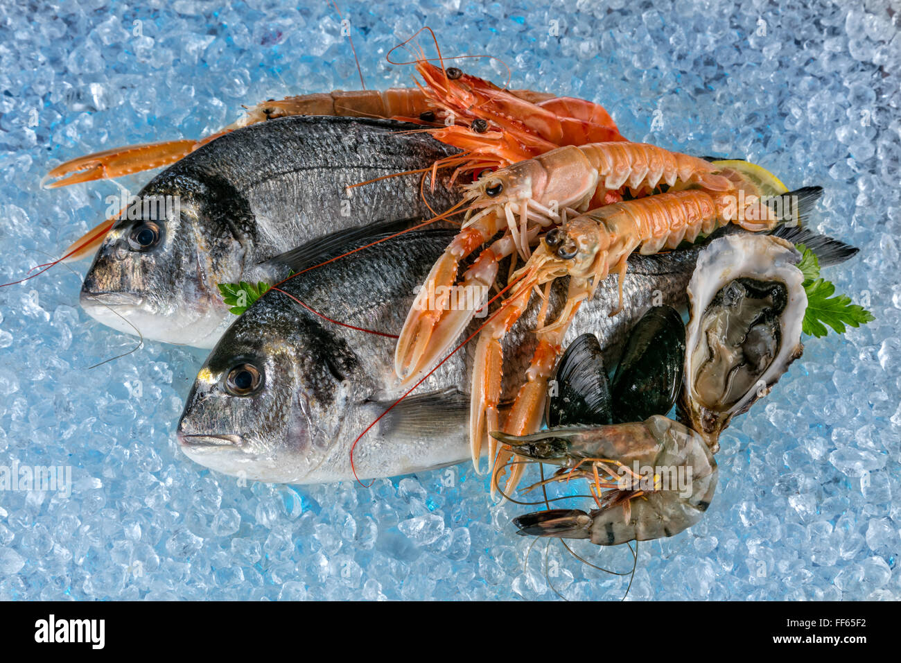 Seafood placed on ice drift Stock Photo - Alamy