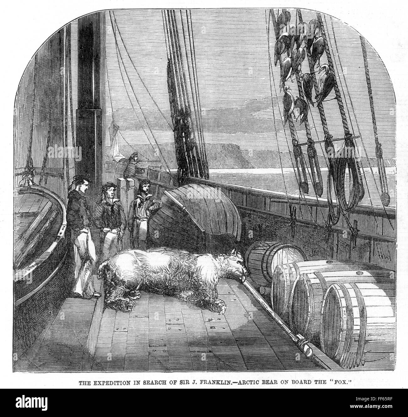 SEARCH FOR JOHN FRANKLIN. /nThe HMS 'Fox', one of the ships in the ...