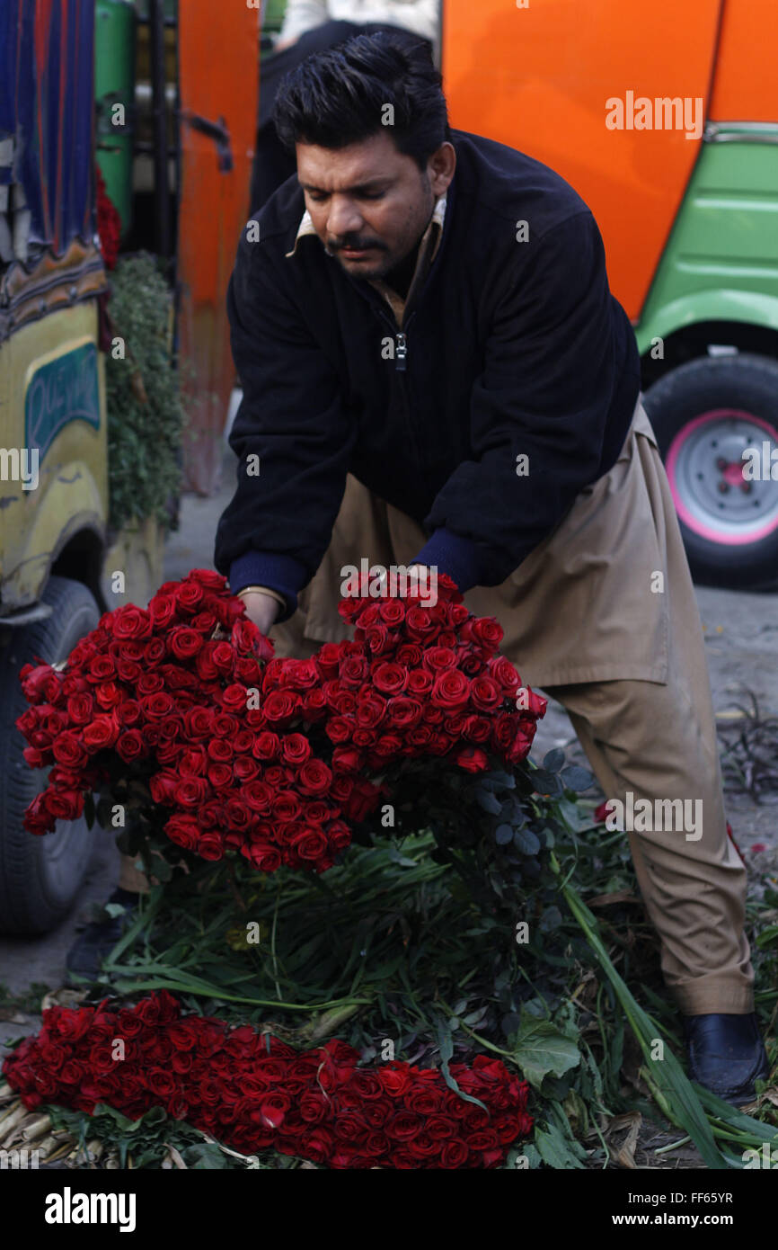 Lahore, Pakistan. 11th Feb, 2016. Pakistani flower vendor display fresh ...