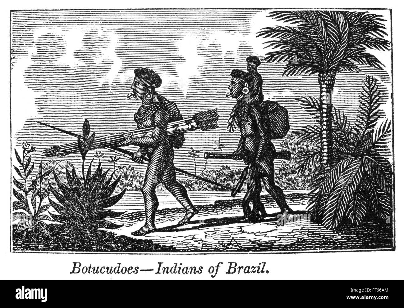 BRAZIL: INDIANS. /n'Botocudoes, Indians of Brazil.' Wood engraving ...