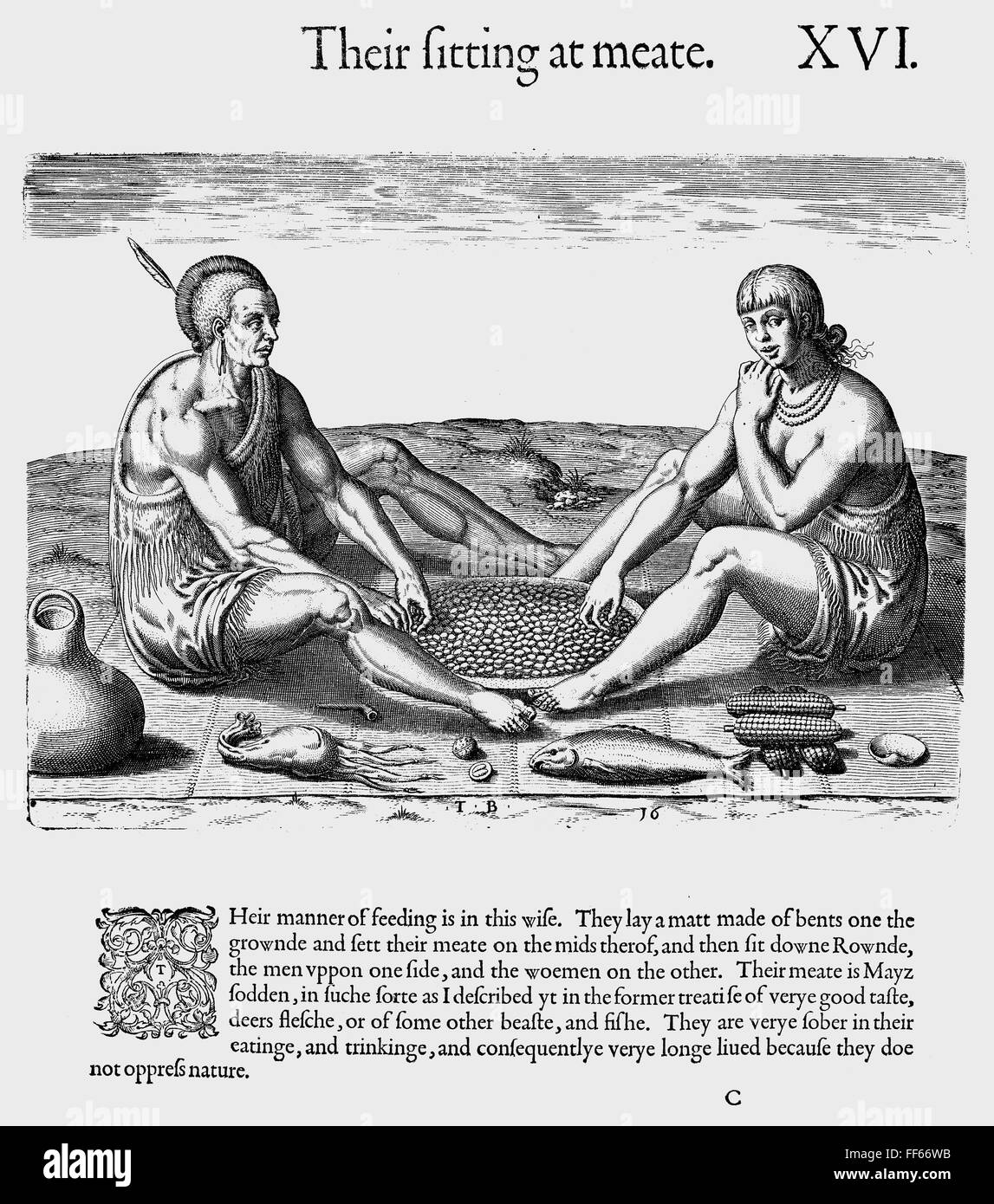 Theodore de bry maize hi-res stock photography and images - Alamy