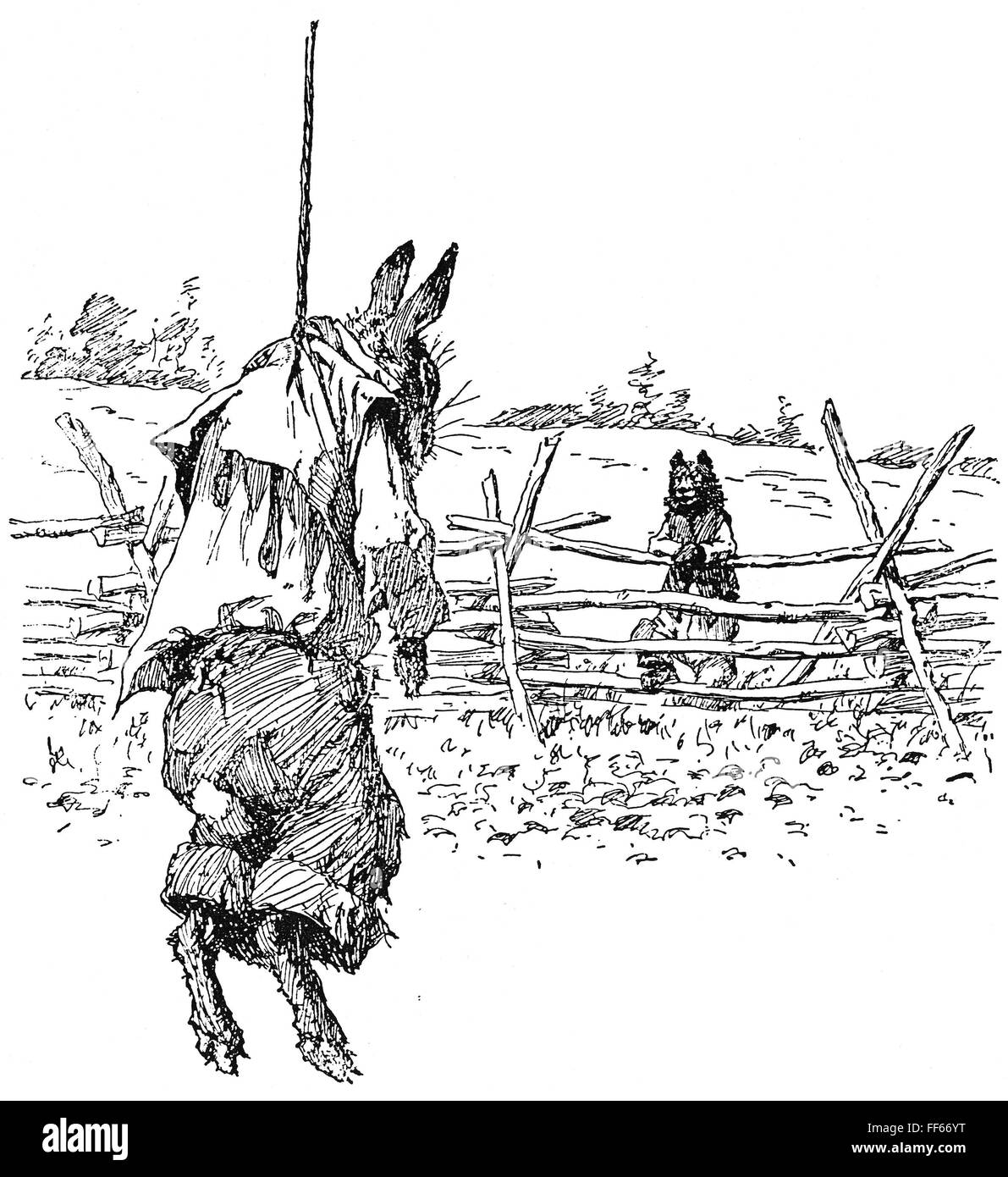 Harris Uncle Remus 1895 Nbrer Rabbit Caught By The Loop Knot Pen And Ink Drawing By