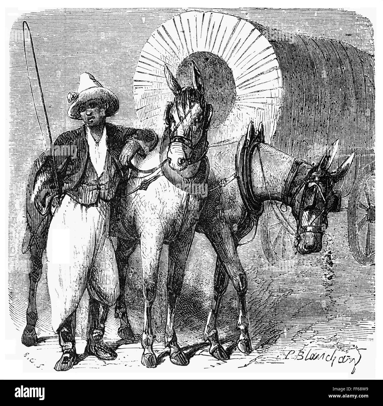BLACK TROOPS, 1864. /nA black soldier in the Union Army leading a ...