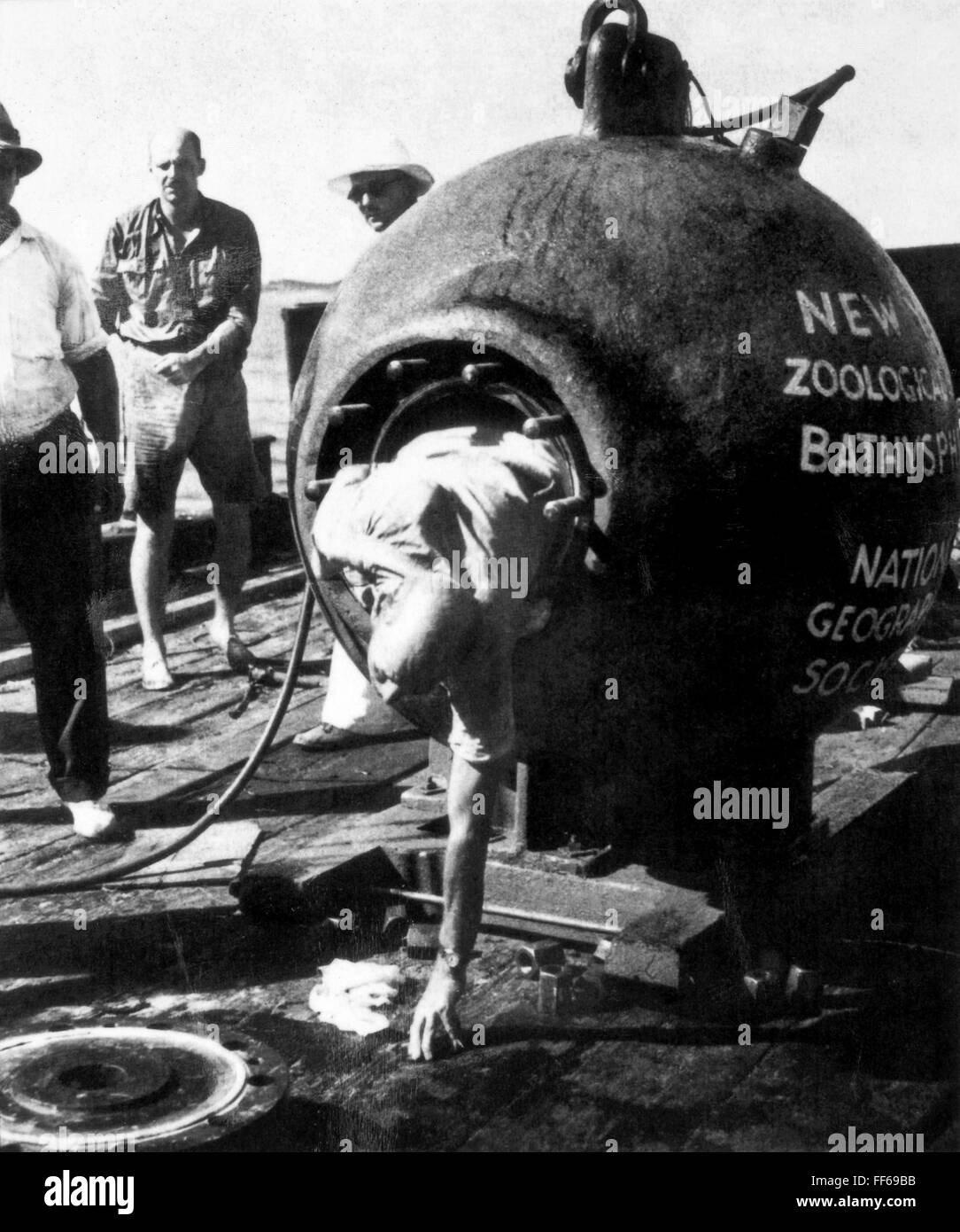 CHARLES WILLIAM BEEBE /n(1877-1962). American naturalist and explorer ...