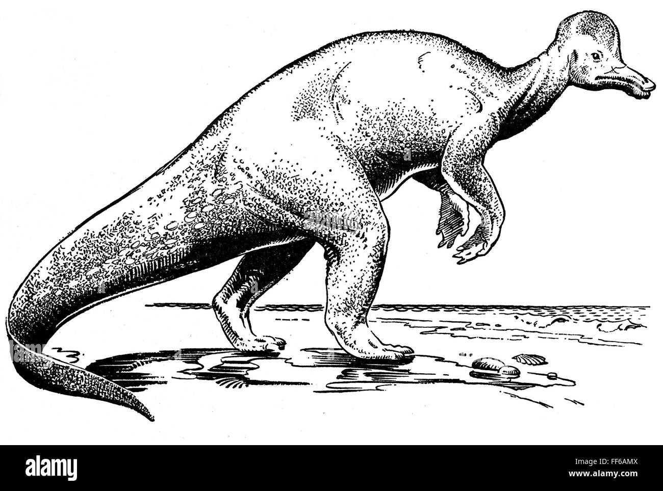 Dinosaur drawing Cut Out Stock Images & Pictures - Alamy