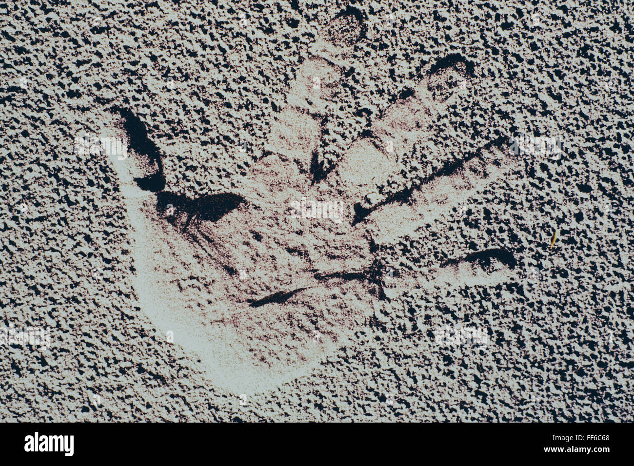 Fingers splayed hi-res stock photography and images - Alamy