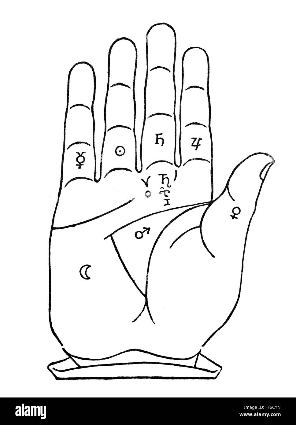 Palmistry diagram Cut Out Stock Images & Pictures - Alamy