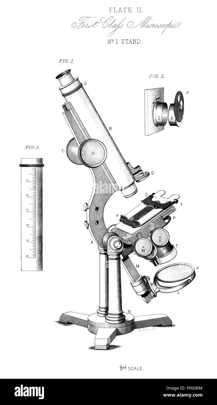 Microscopic Engraving at Natasha Cain blog