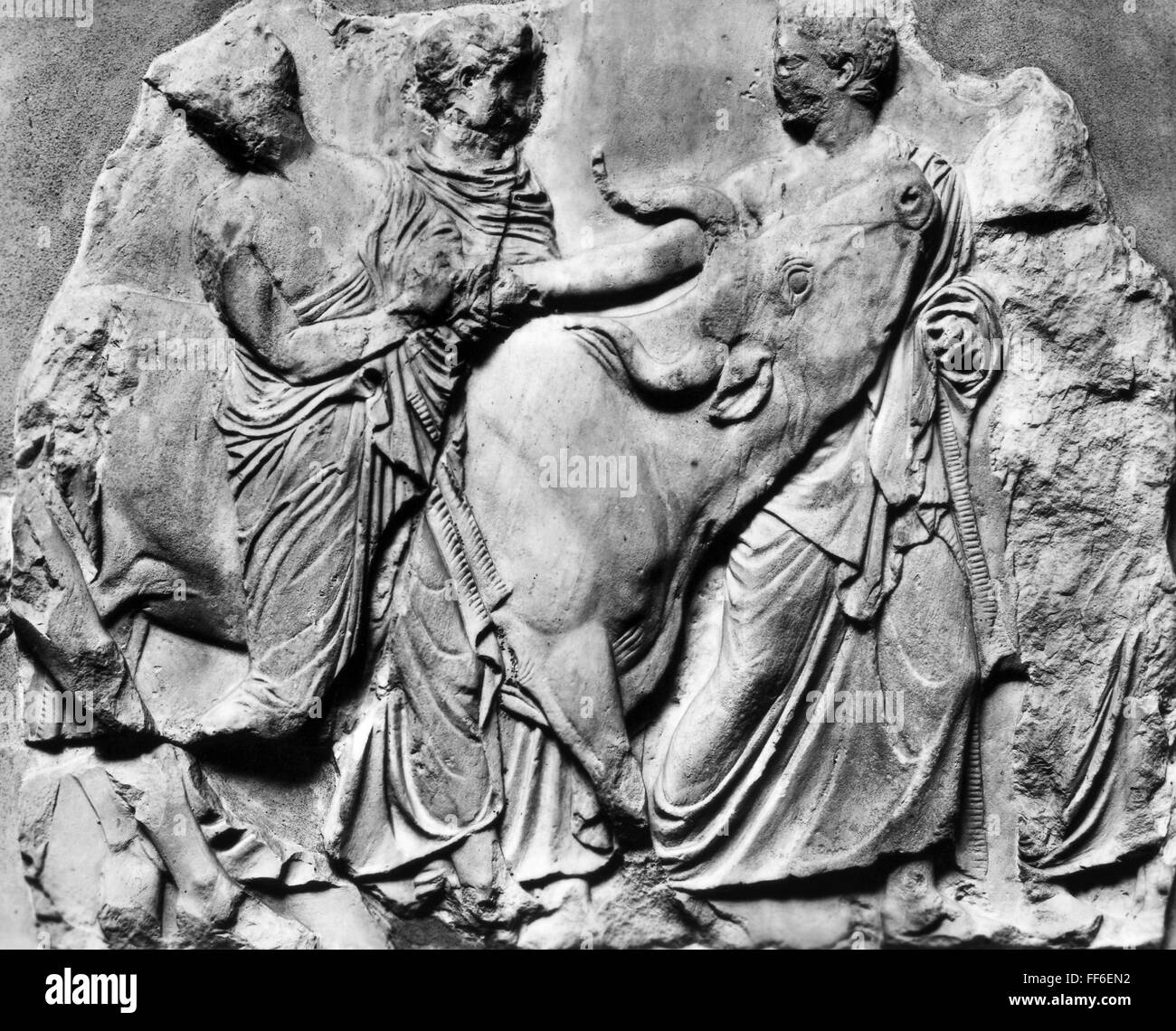 PARTHENON FRIEZE, 440 B.C. /nHeifers led to sacrifice. South frieze of ...