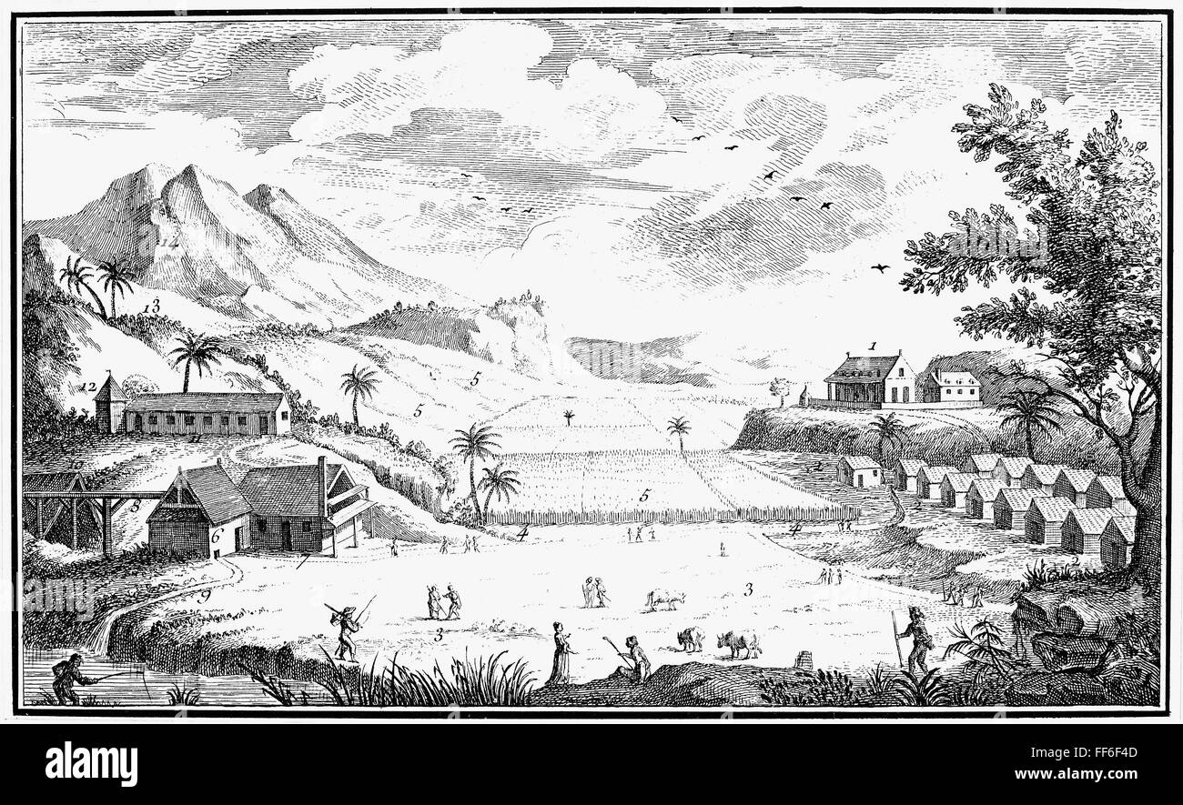 HAITI: SUGAR PLANTATION. /nA sugar plantation in the West Indies ...