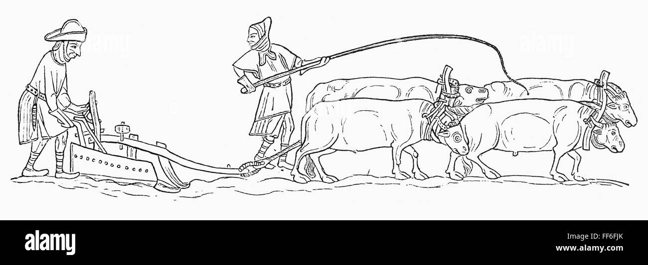 ENGLAND: PLOUGHING, c1340. /nBritish peasants ploughing. Line drawing ...