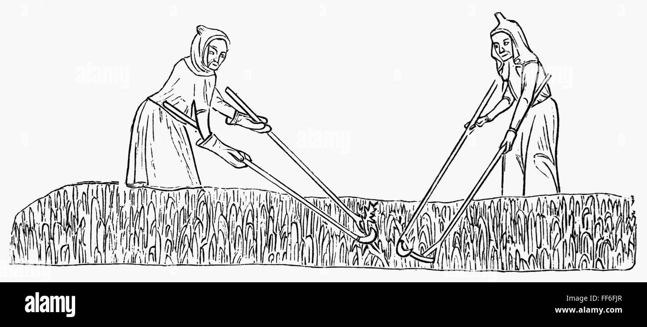 PEASANTS' WEEDING, c1340. /nLine drawing after an illumination in the ...