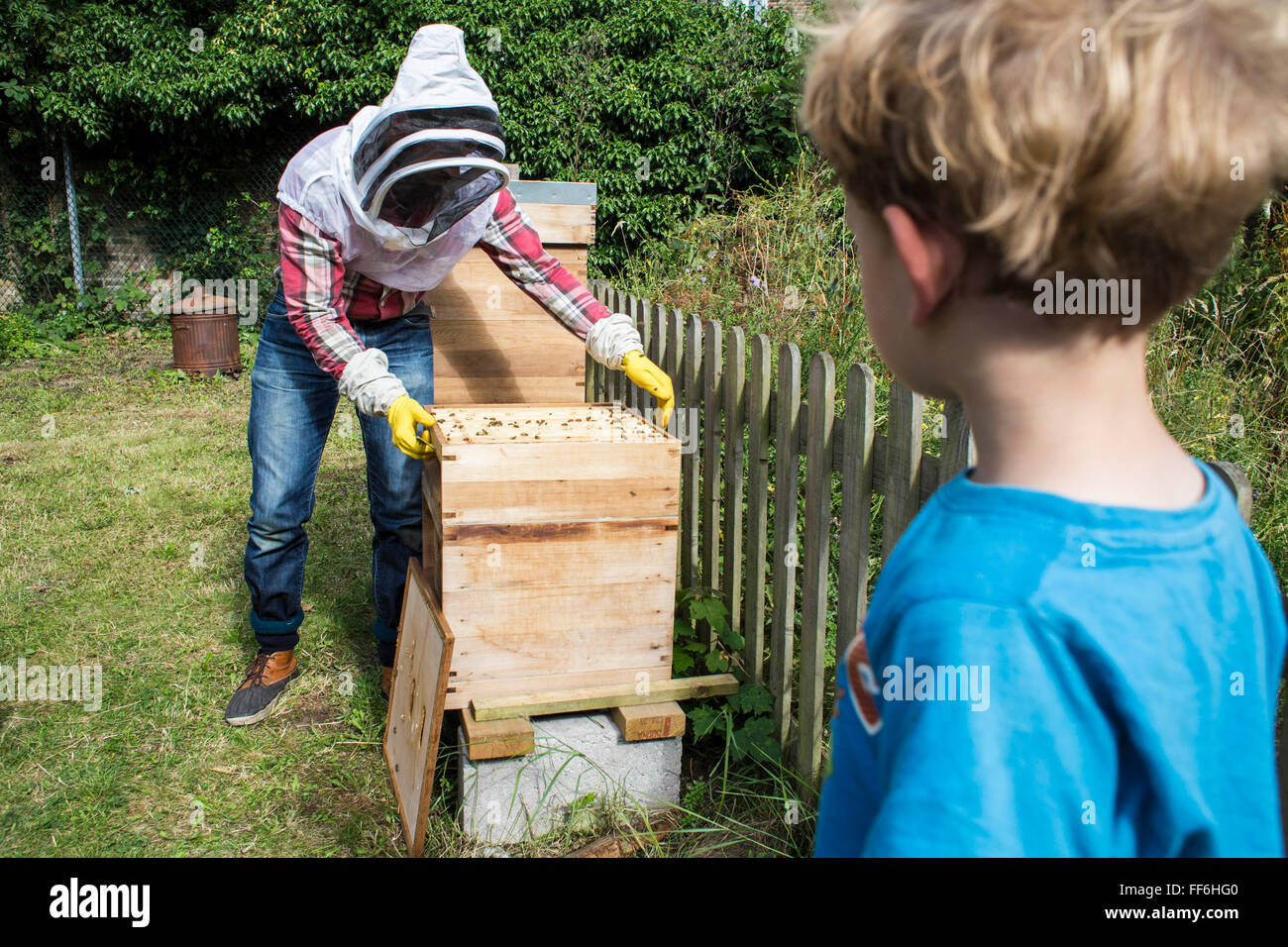 Insects for children hi-res stock photography and images - Alamy