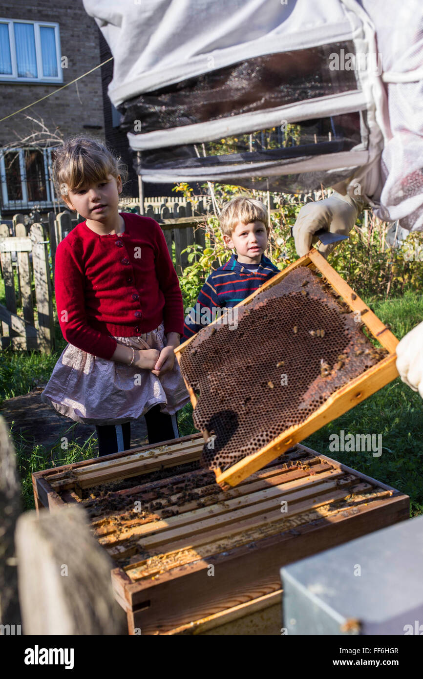 Children watching the bee keeper inspect the honey frames of the bee ...