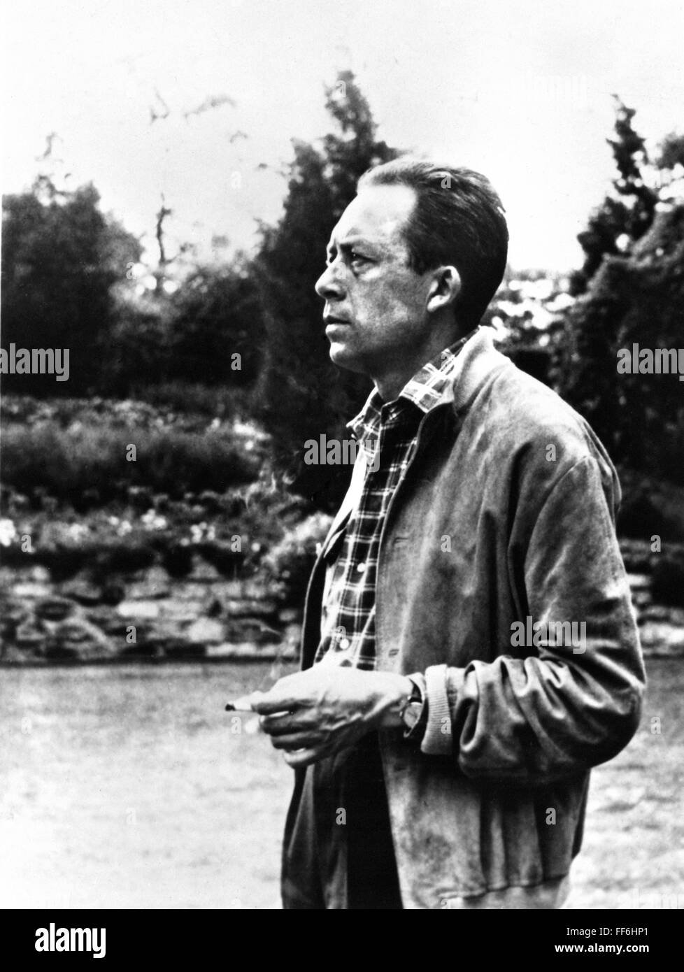ALBERT CAMUS (1913-1960). /nFrench writer Stock Photo - Alamy