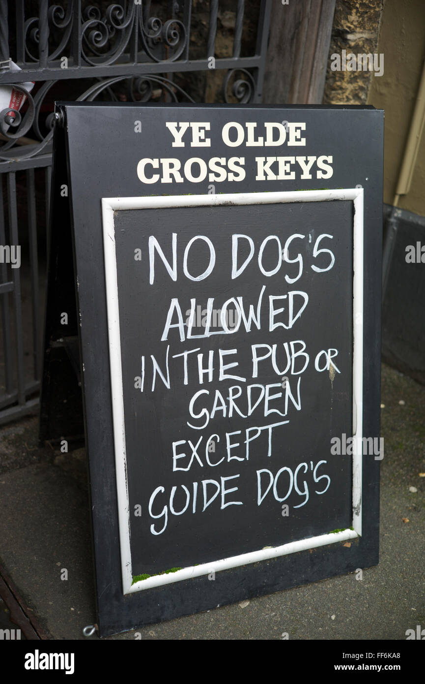 Are Guide Dogs Allowed In Pubs
