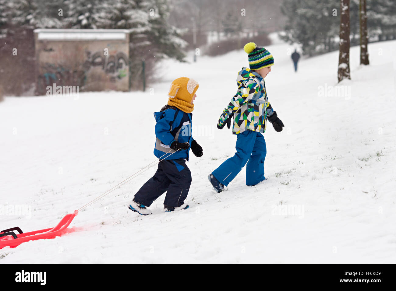 Two kids, boy brothers, sliding with bob in the snow, wintertime ...