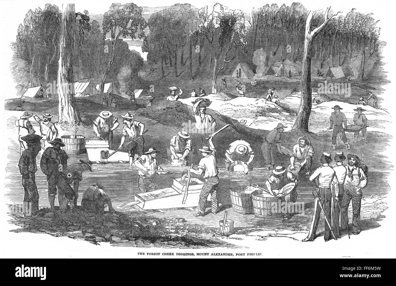AUSTRALIAN GOLD RUSH, 1851. /nThe Forest Creek diggings at Port Phillip ...