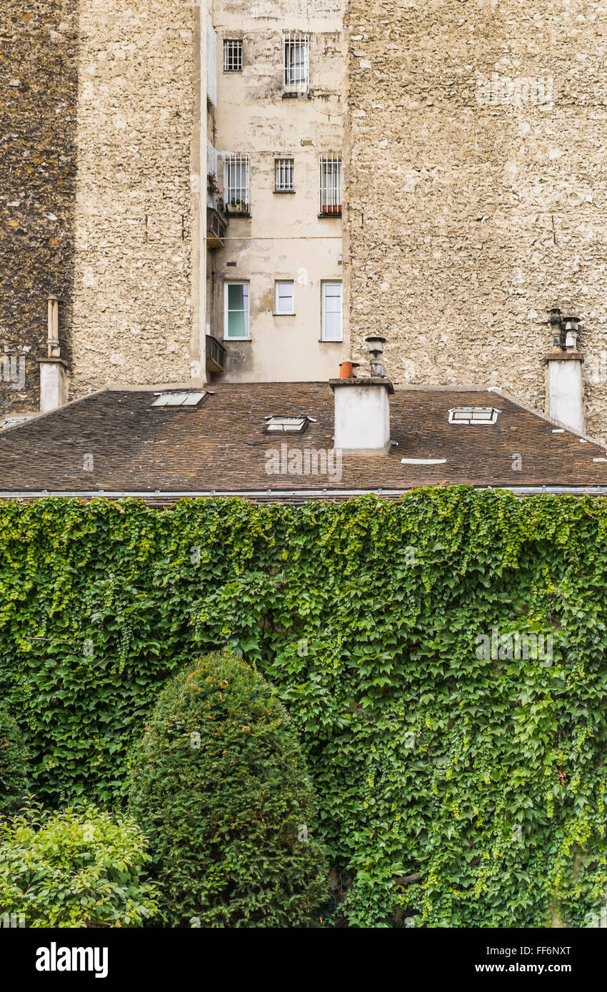 roof and buildings rise behind overgrown wall Stock Photo - Alamy