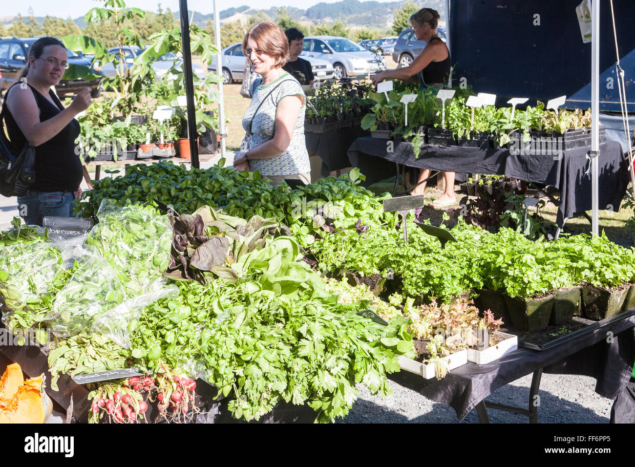 Clevedon village farmers market hi-res stock photography and images - Alamy