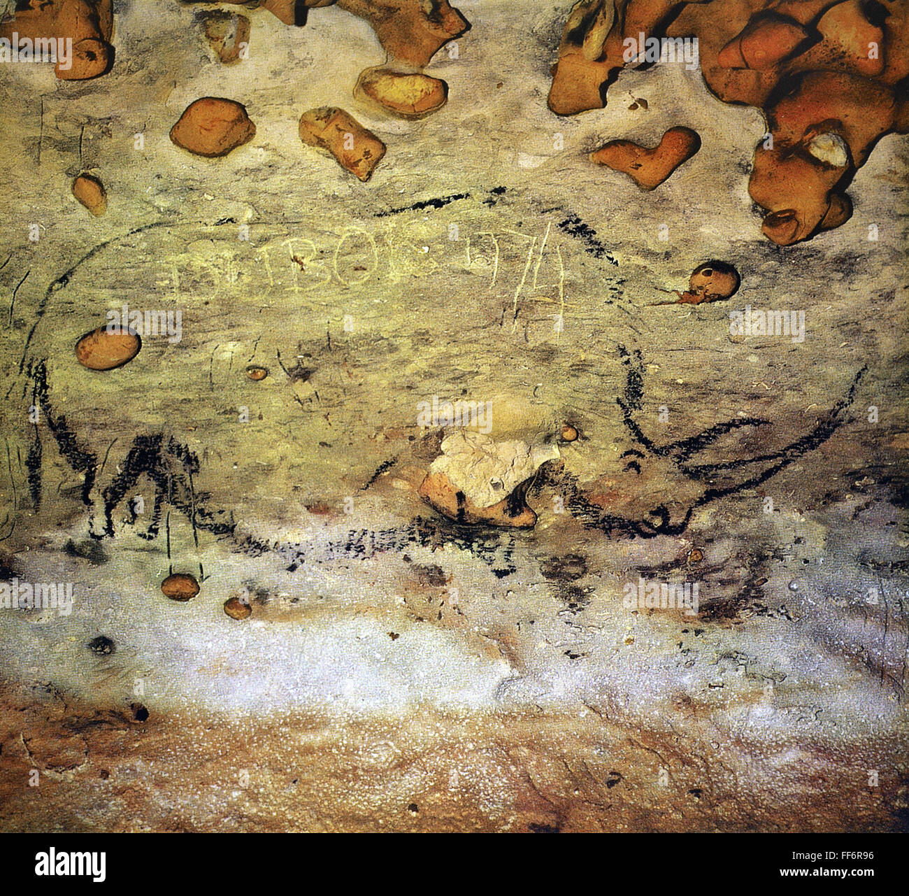 CAVE ART: RHINOCEROS. /nWoolly rhinoceros painted in black outline ...