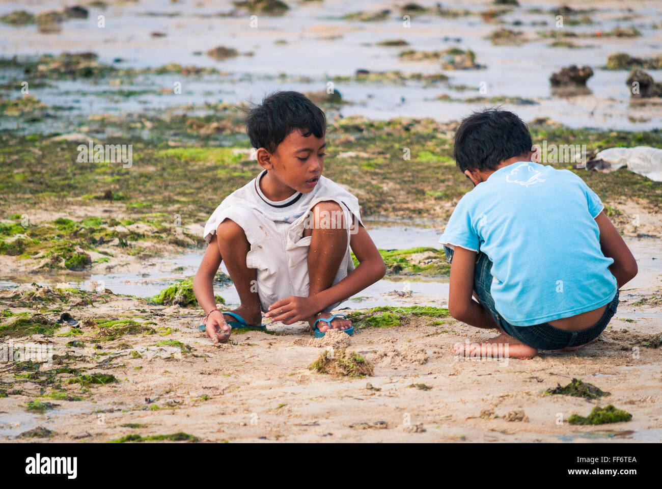 Algae patch hi-res stock photography and images - Alamy