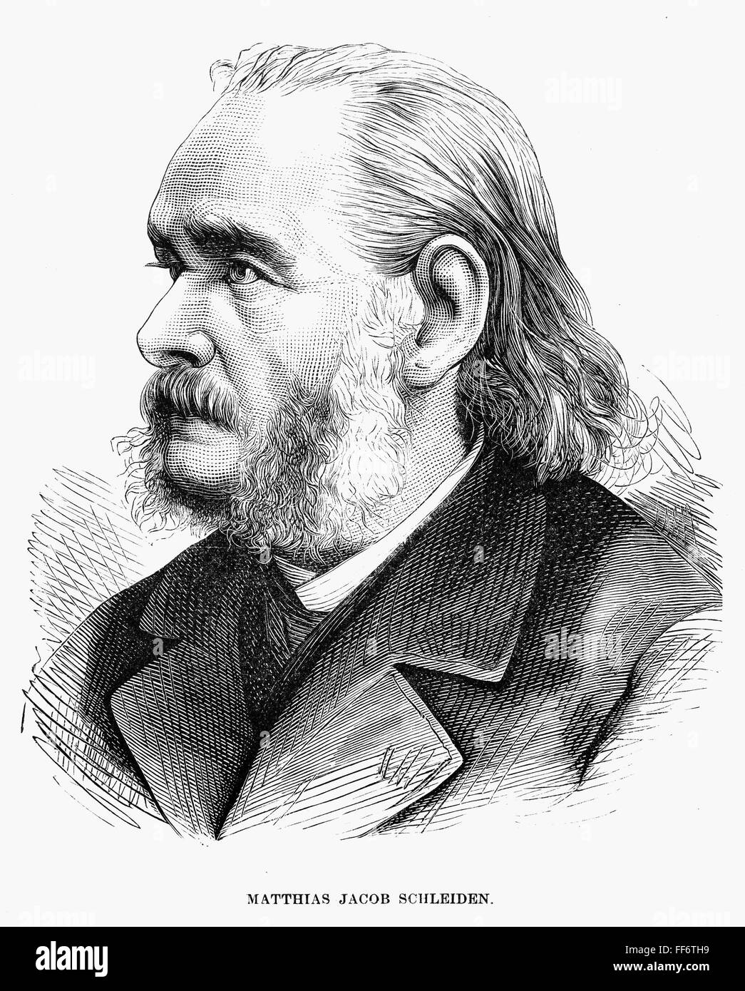 MATTHIAS SCHLEIDEN /n(1804-1881). Matthias Jakob Schleiden. German ...