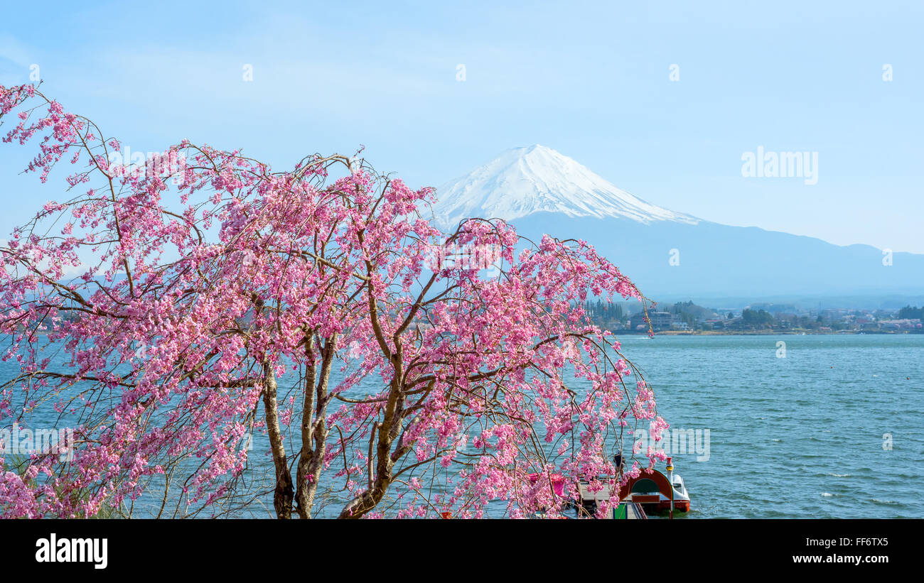 Fujisan view from Kawaguchiko lake, Japan Stock Photo - Alamy