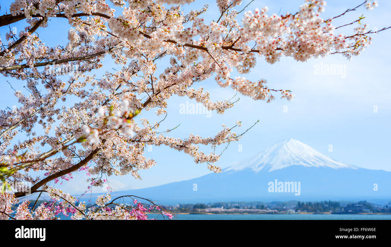 Fujisan view from Kawaguchiko lake, Japan Stock Photo - Alamy