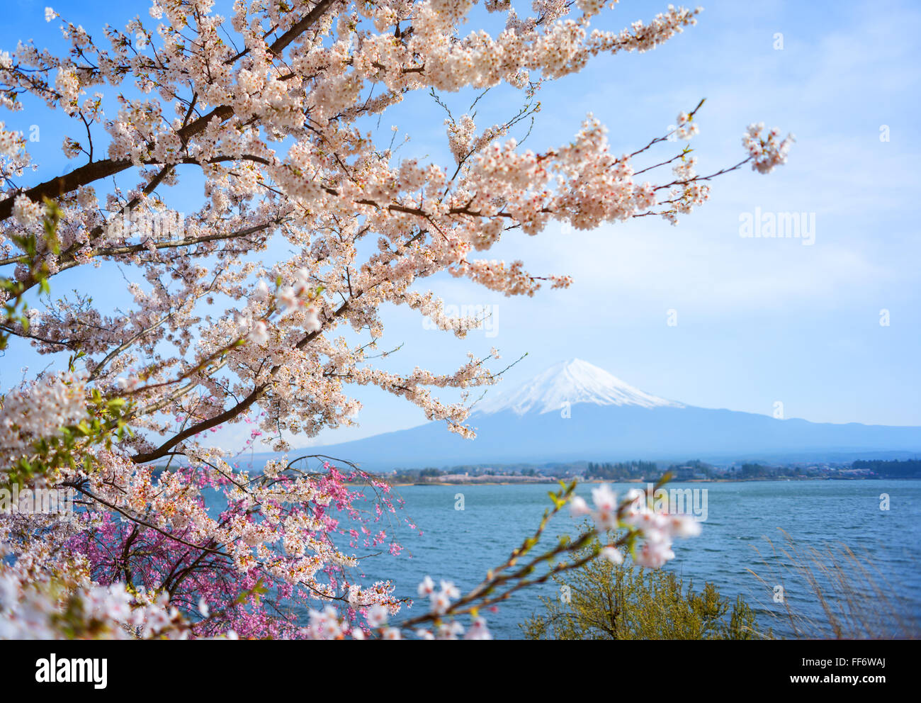Fujisan view from Kawaguchiko lake, Japan Stock Photo - Alamy