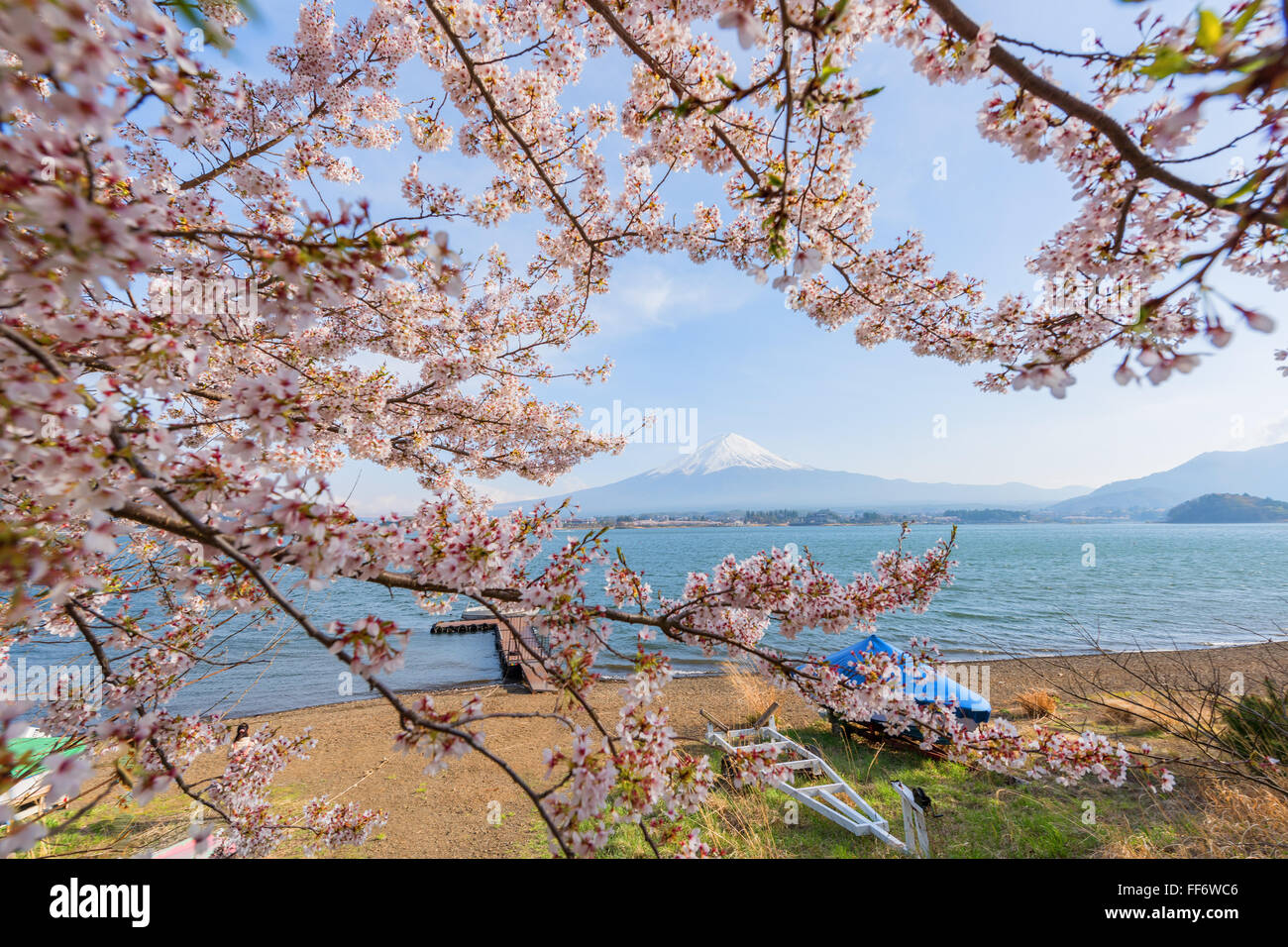 Fujisan view from Kawaguchiko lake, Japan Stock Photo - Alamy