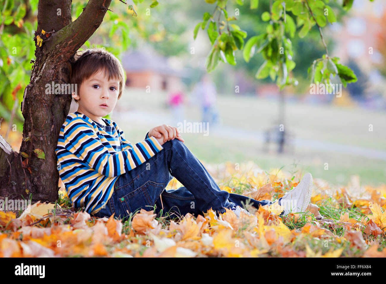 Little toddler boy, eating apple in the afternoon, sitting under apple ...