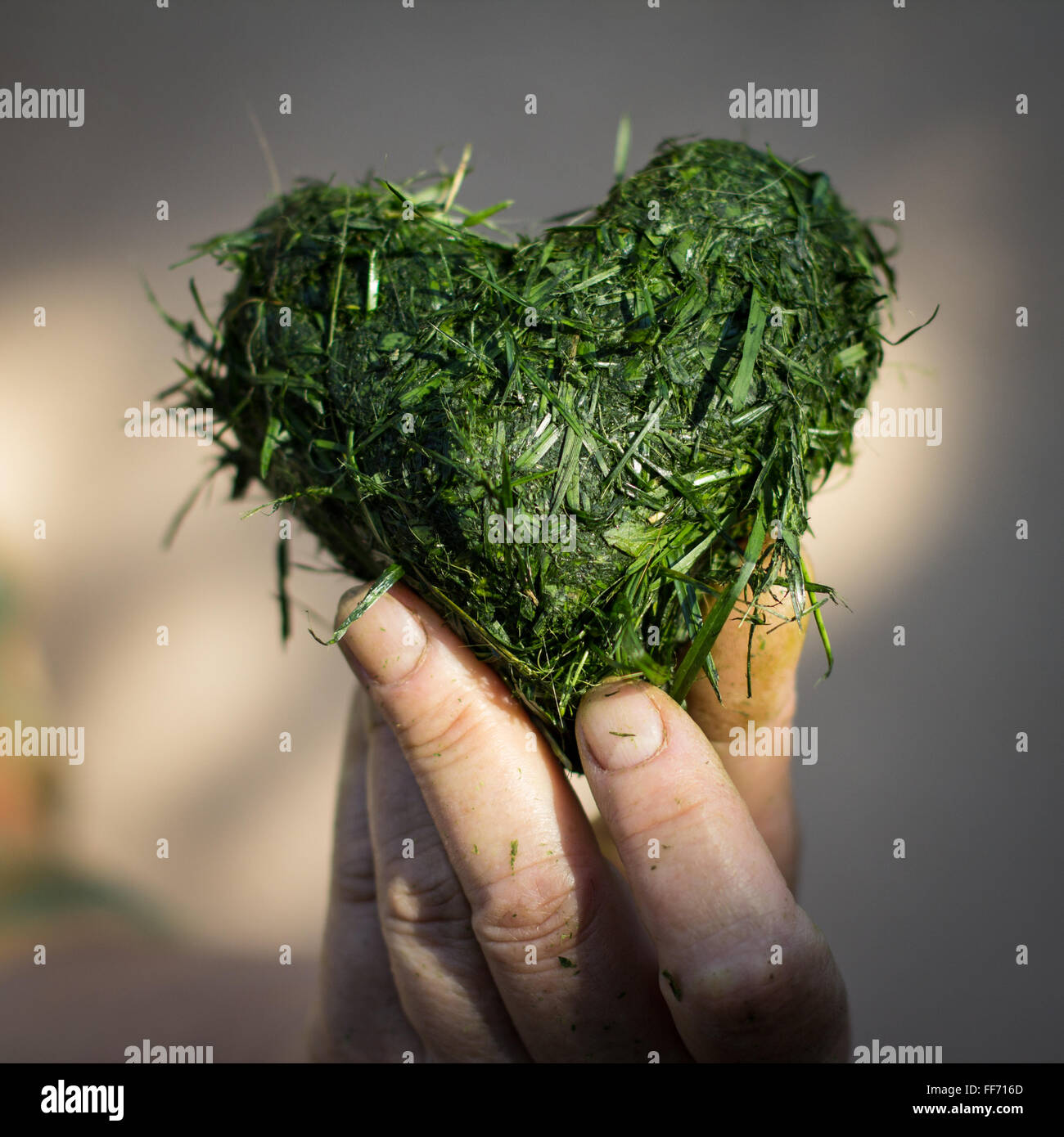 Heart shaped grass hi-res stock photography and images - Alamy