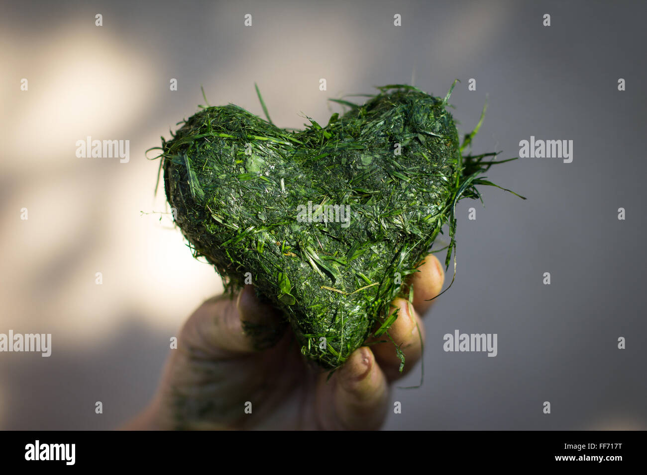 Heart shaped grass hi-res stock photography and images - Alamy