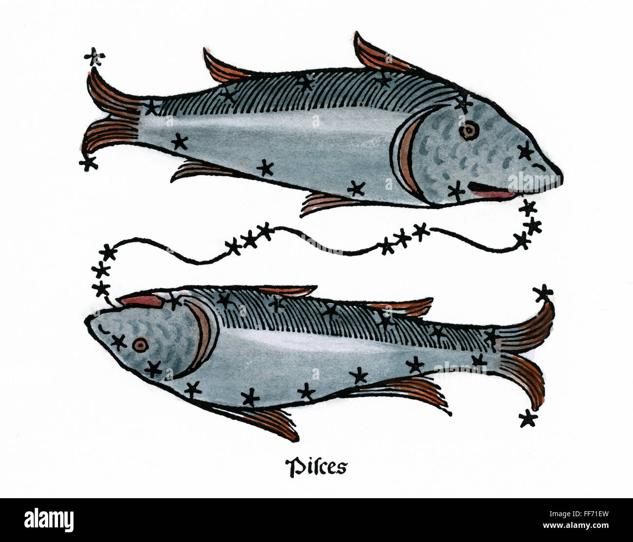 ZODIAC: PISCES, 1482. /nPisces, the fishes. Zodiacal woodcut from Gaius ...