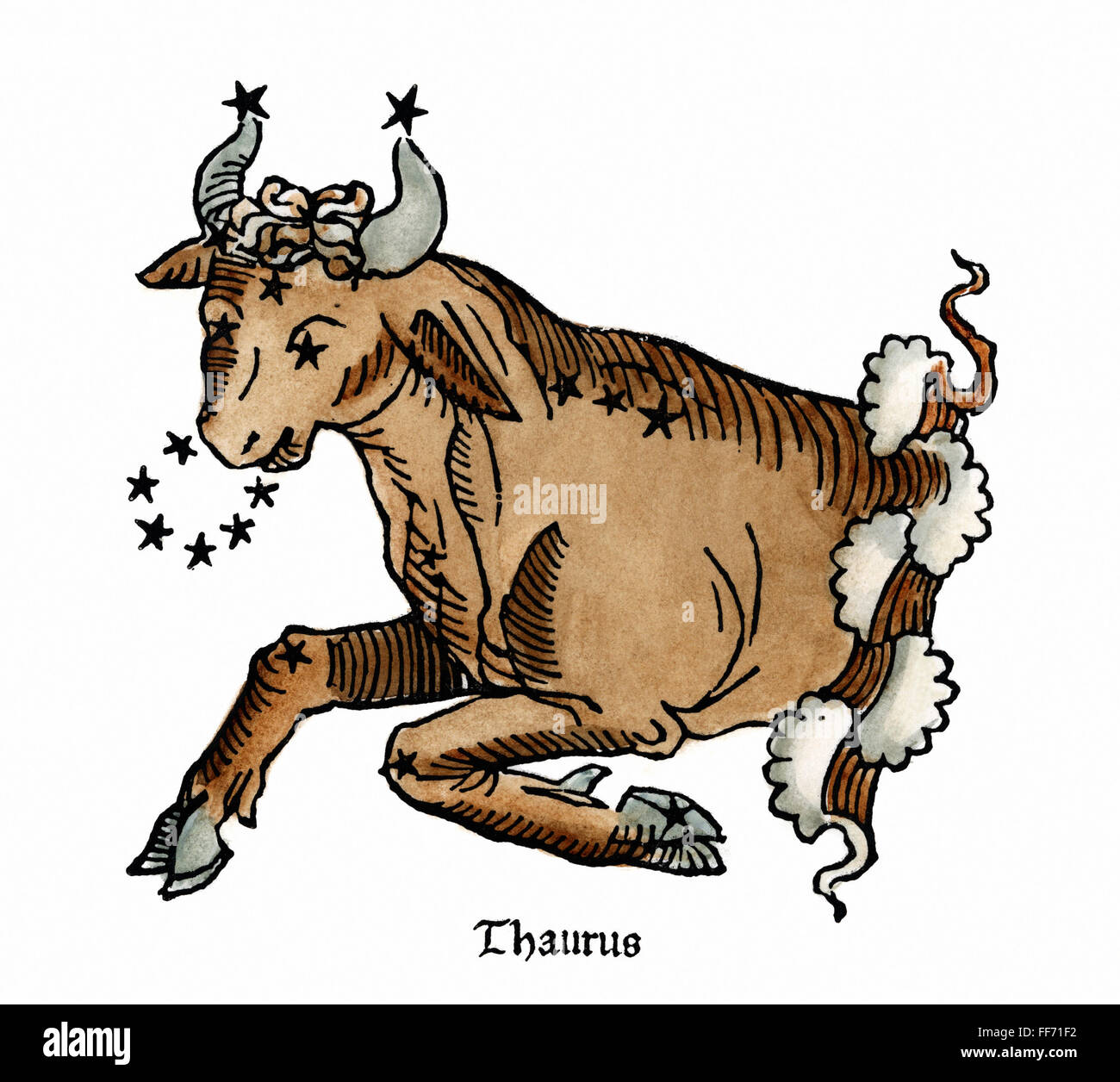 ZODIAC: TAURUS, 1482. /nTaurus, the bull. Zodiacal woodcut from Gaius ...