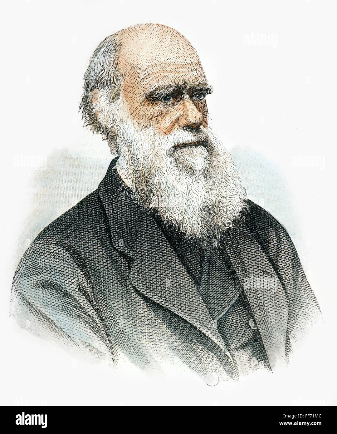 CHARLES DARWIN (1809-1882). /nEnglish naturalist. Color engraving, 1871 ...