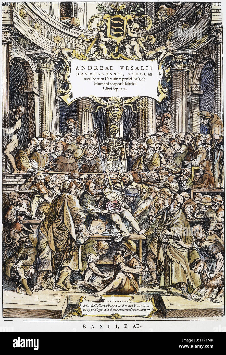 ANDREAS VESALIUS TEACHING. /nAndreas Vesalius (1514-1564) teaching ...