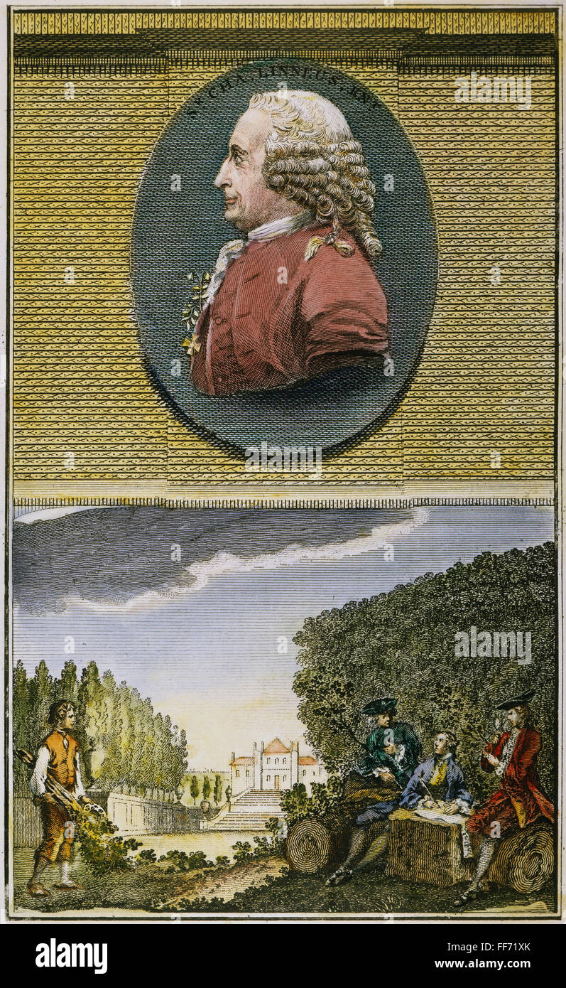 CAROLUS LINNAEUS (1707-1778). /nSwedish botanist. Profile portrait, and ...
