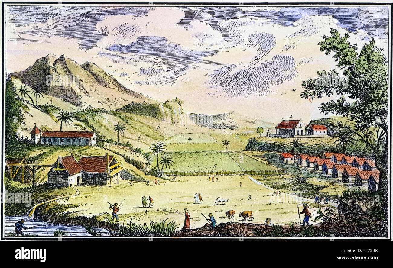 HAITI: SUGAR PLANTATION. /nA sugar plantation in the West Indies ...